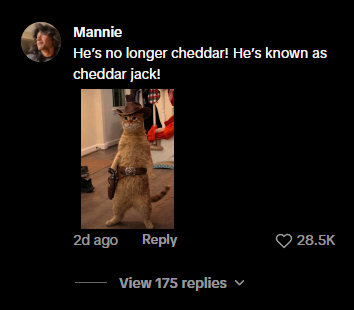 cheddar